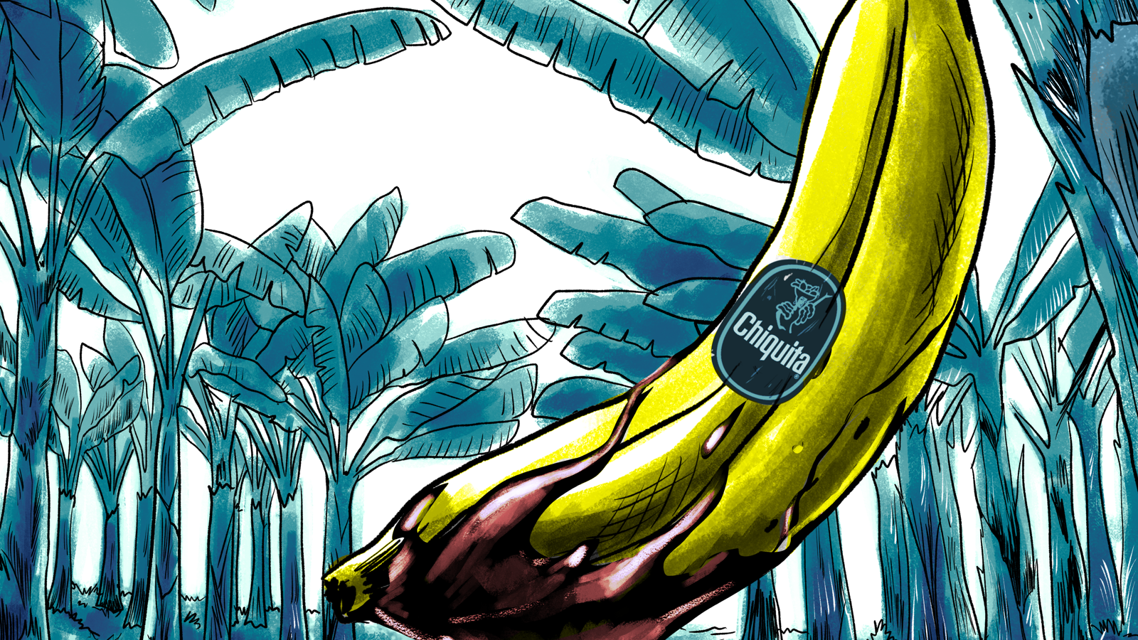 TRIBUNAL DE EE.UU. RATIFICA HISTÓRICO VEREDICTO CONTRA CHIQUITA BRANDS ... TRIBUNAL DE EE.UU. RATIFICA HISTÓRICO VEREDICTO CONTRA CHIQUITA BRANDS ...