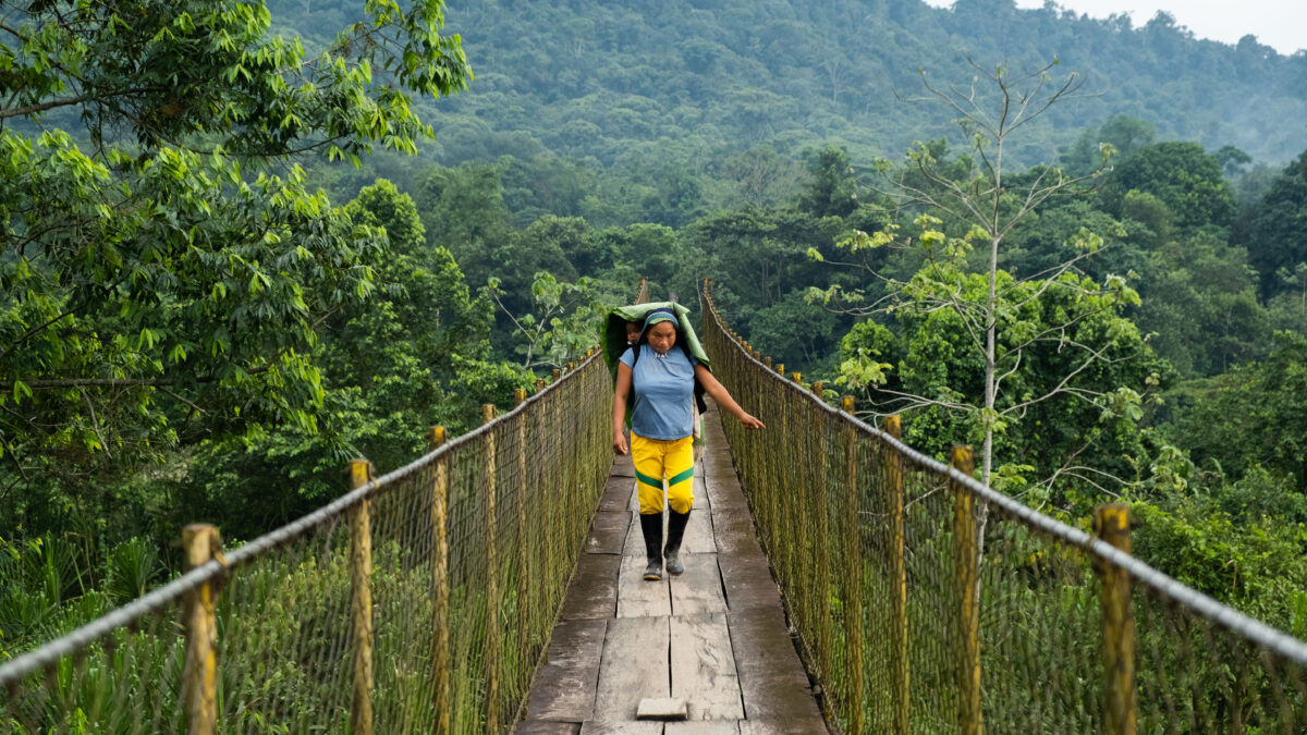 People. Power. Justice. | EarthRights International