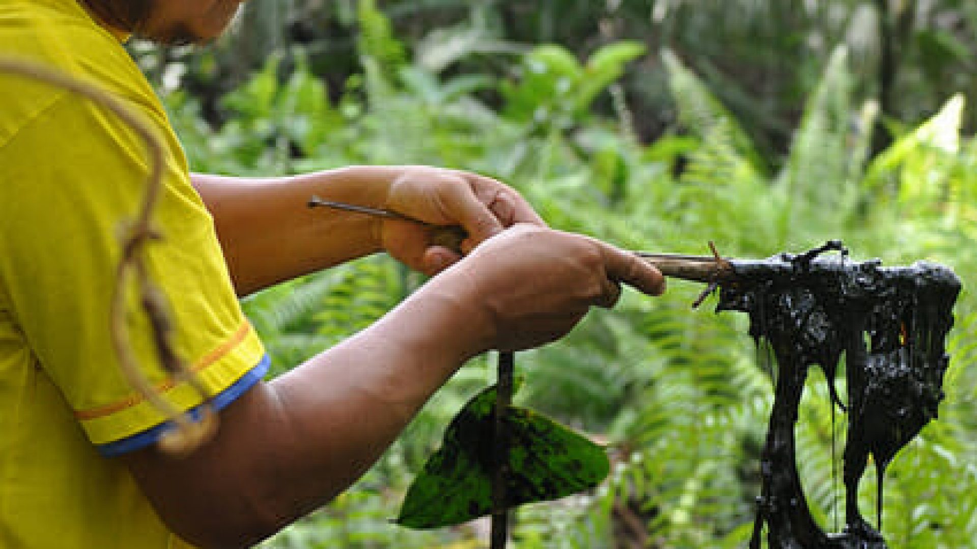 What’s Next in the Chevron/Ecuador Legal Saga? | EarthRights International