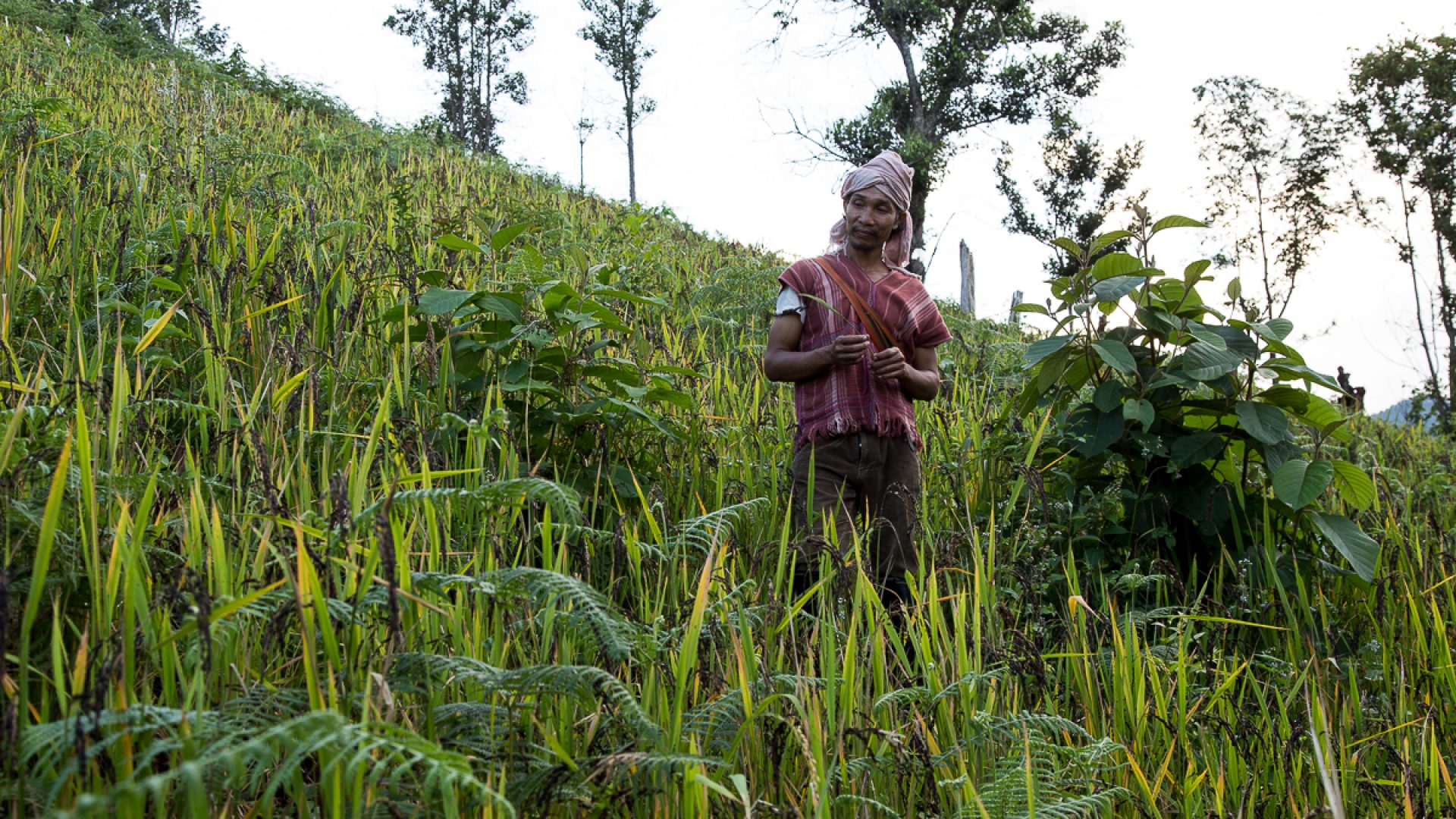 Obstacles to Indigenous Land Rights | EarthRights International